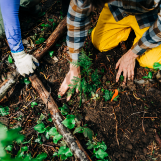 System Expansion Progress Report | Sound Transit